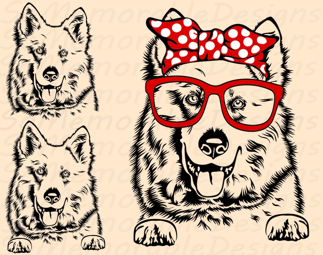 Berger Blanc Suisse Svg, Berger Blanc Suisse Svg Design, Berger Blanc ...