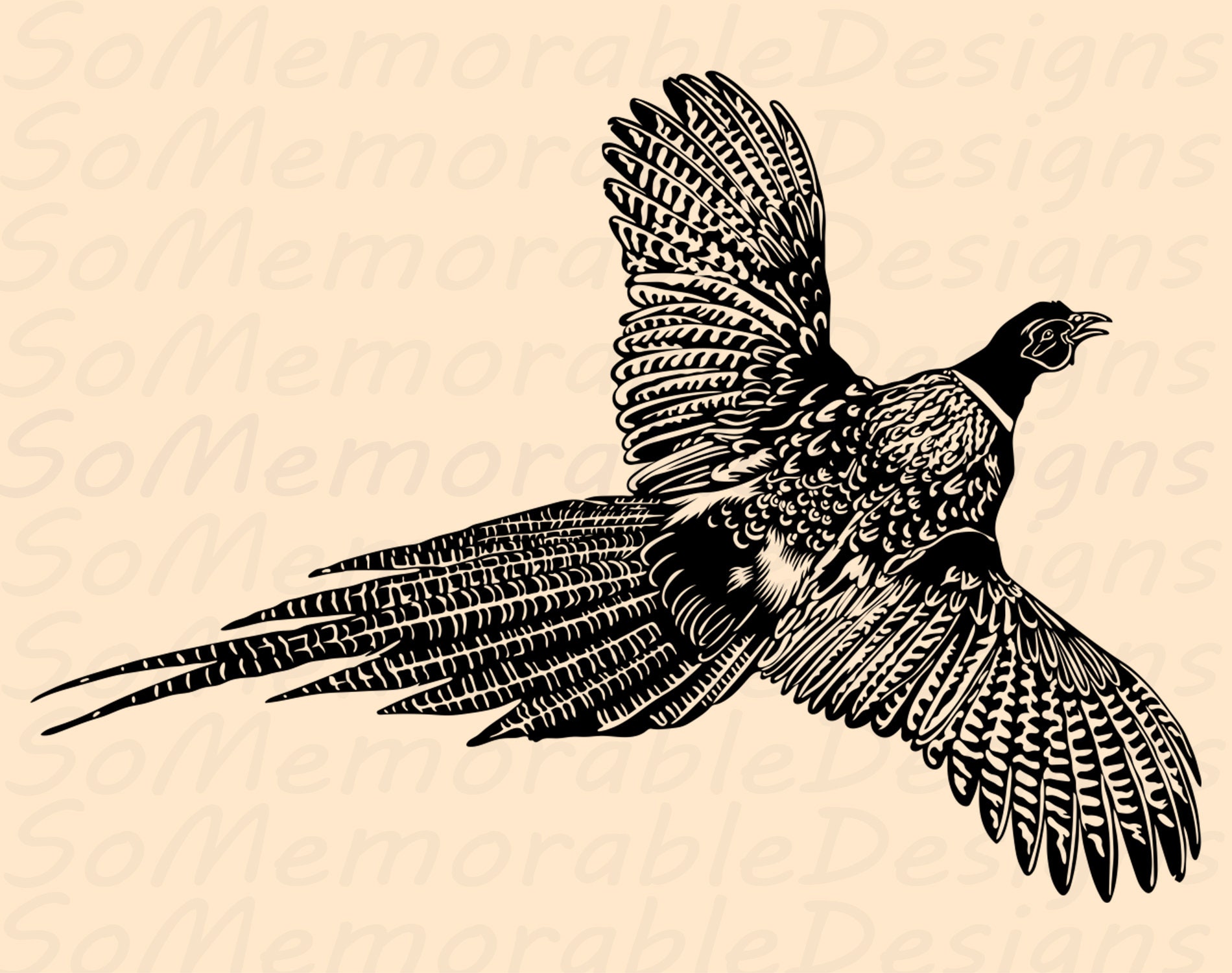 Flying Pheasant Clip Art