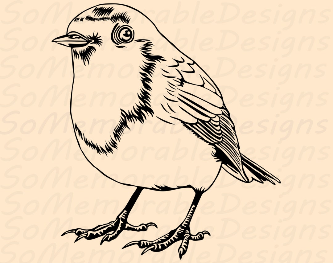 Robin Svg Robin Svg Files Robin Svg Design Robin Cut File - Etsy