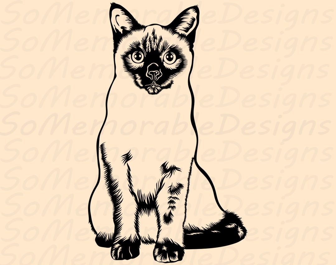 Siamese Cat Svg Files for Cricut, Siamese Cat Svg Designs - Etsy Canada