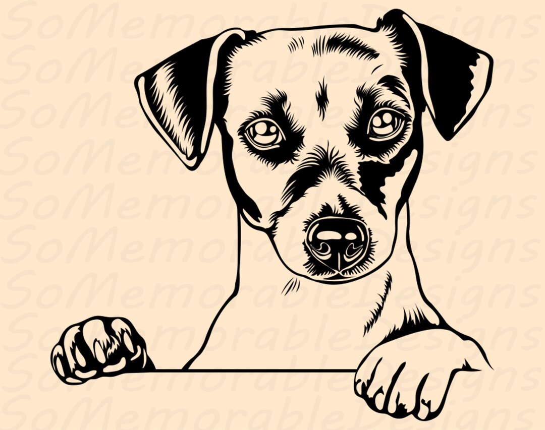 Jack Russell Terrier Svg Jack Russell Terrier Svg File for - Etsy