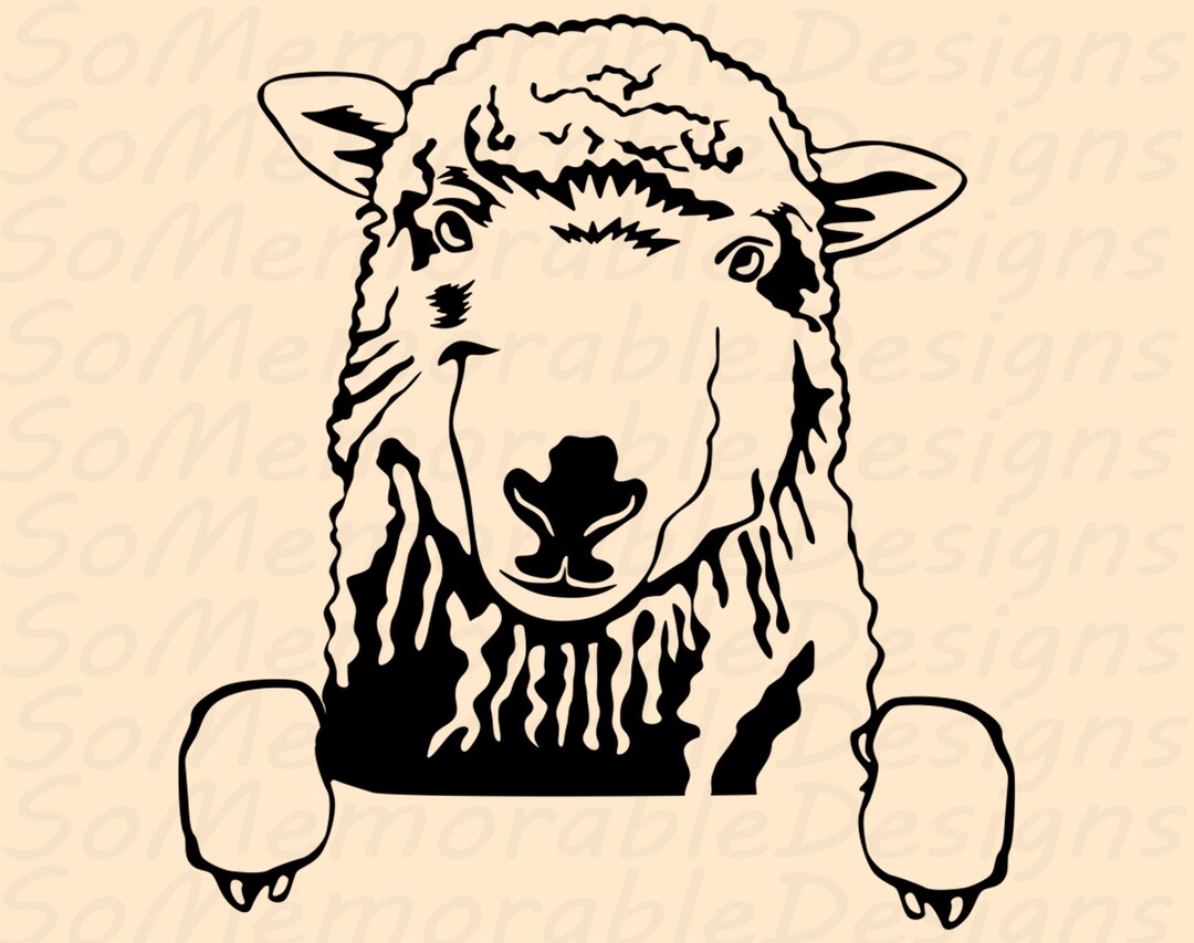 Sheep Svg, Sheep Svg File for Cricut, Sheep Printable Tshirt Design ...