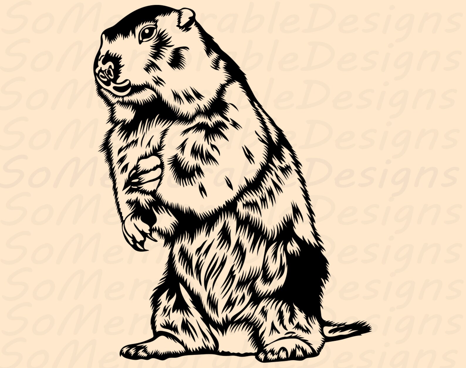 Beaver Svg, Beaver Svg Files, Beaver Svg Design, Beaver Cut File ...