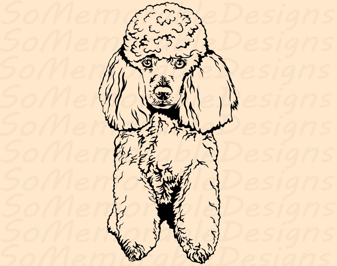 Poodle Svg, Poodle Svg File for Cricut, Poodle Printable Tshirt Design ...