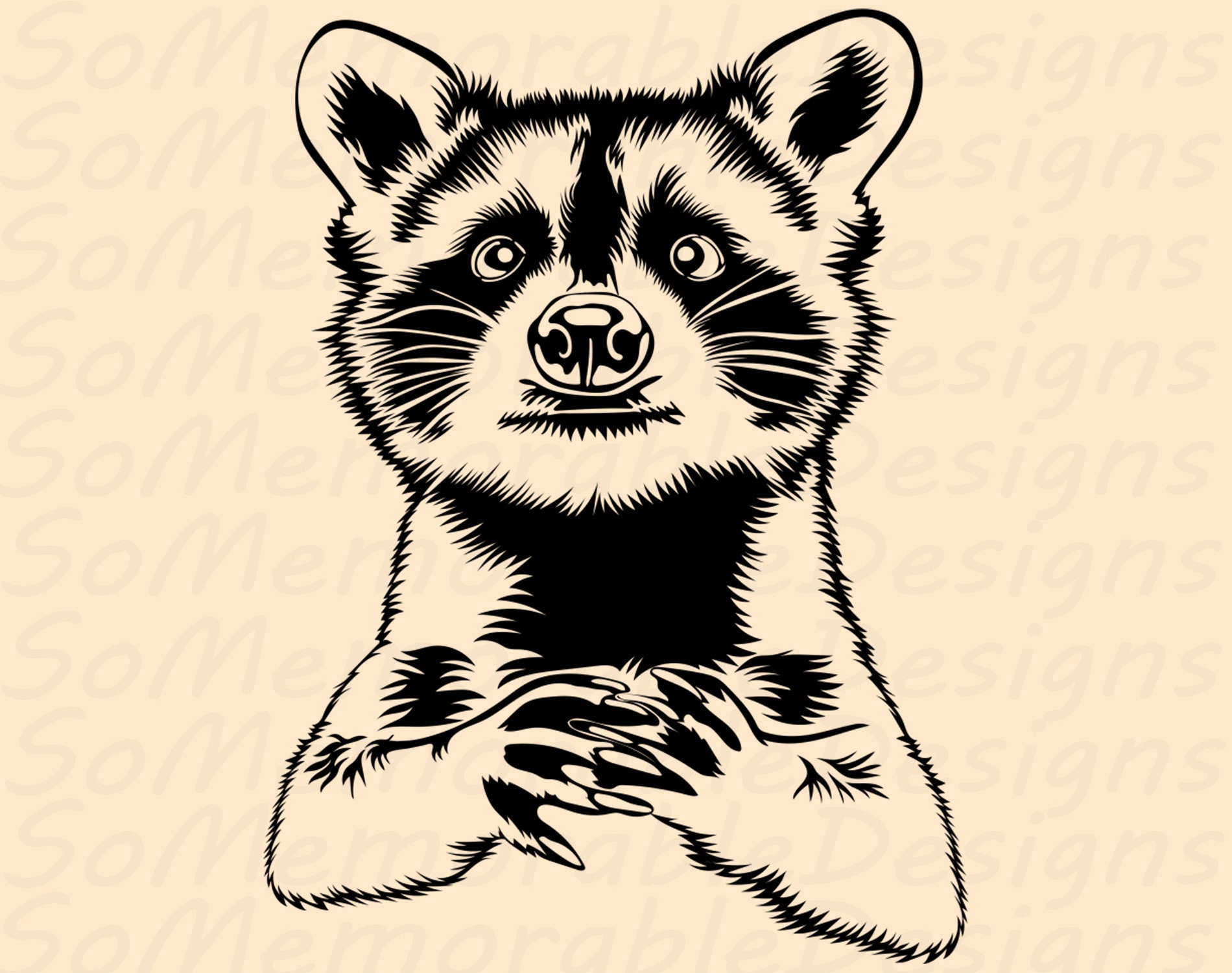 Raccoon Svg, Raccoon Svg File for Cricut, Raccoon Printable Tshirt ...