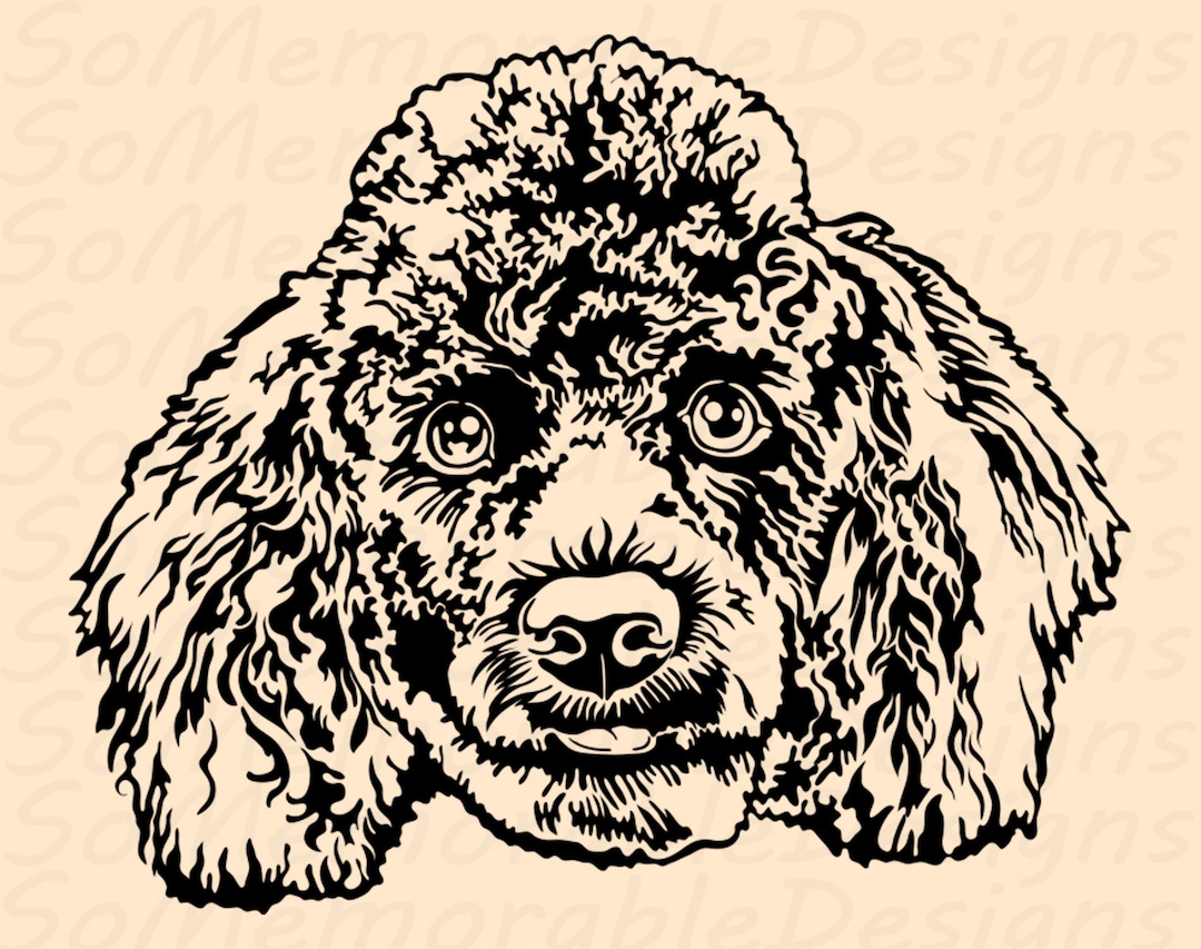 Poodle Svg Poodle Svg File for Cricut Poodle Printable - Etsy