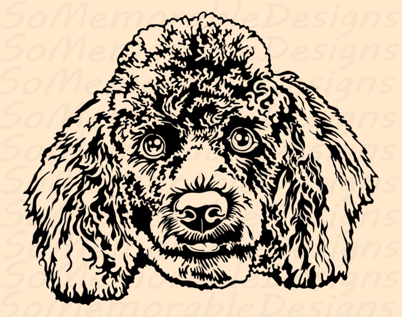 Poodle Svg Poodle Svg File for Cricut Poodle Printable - Etsy