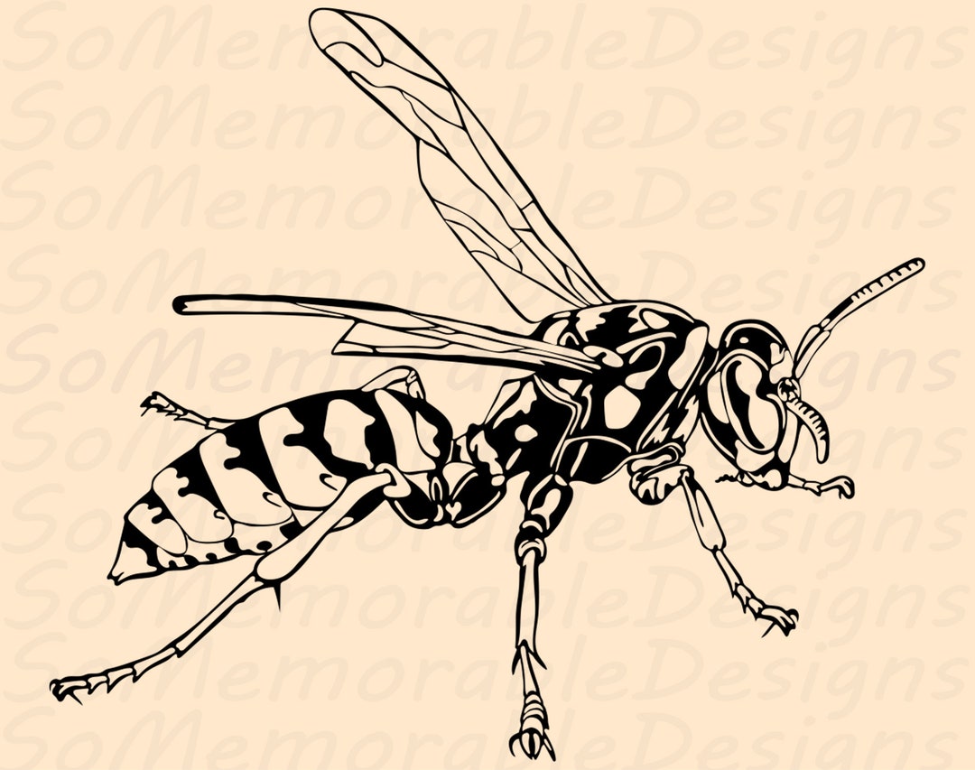 Wasp svg, Wasp svg design, Wasp svg, Wasp Plotterdatei für cricut, Wasp ...