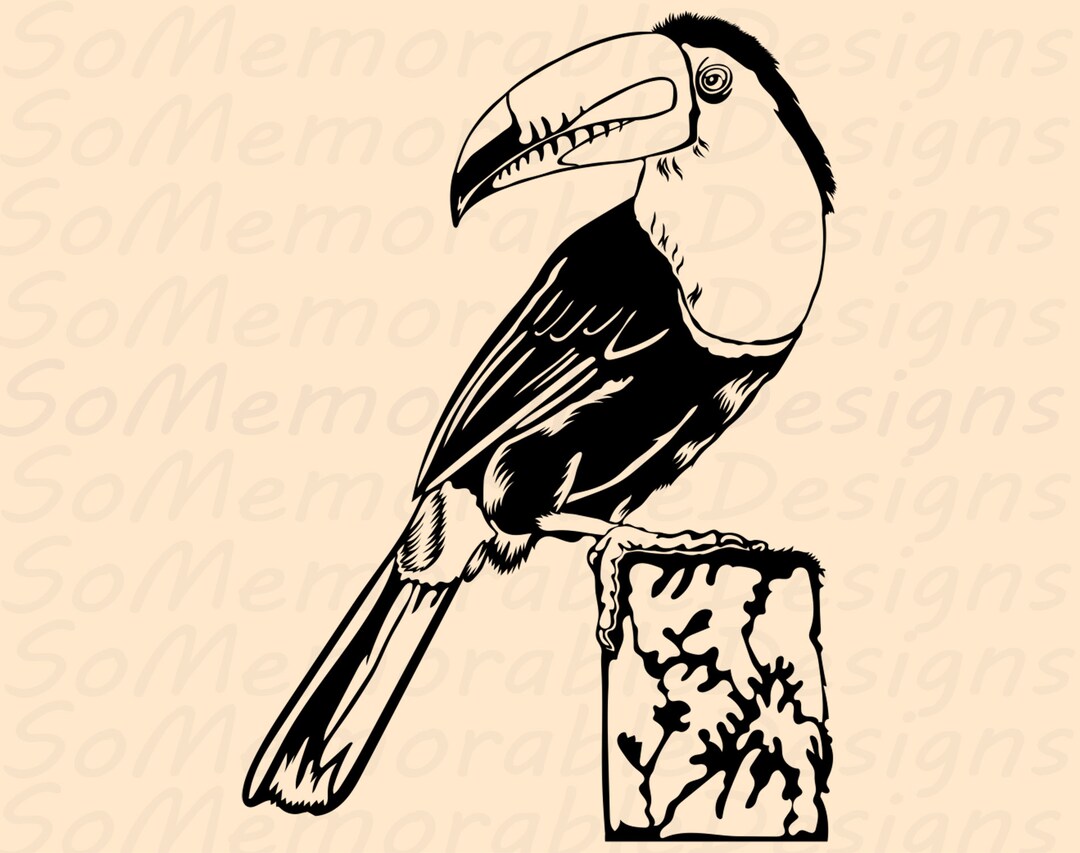 Tucan Svg Tucan Svg Files Tucan Svg Design Tucan Cut File Etsy
