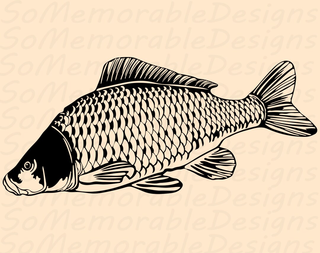 Carp Fish Svg, Carp Fish Svg File for Cricut, Carp Fish Printable ...