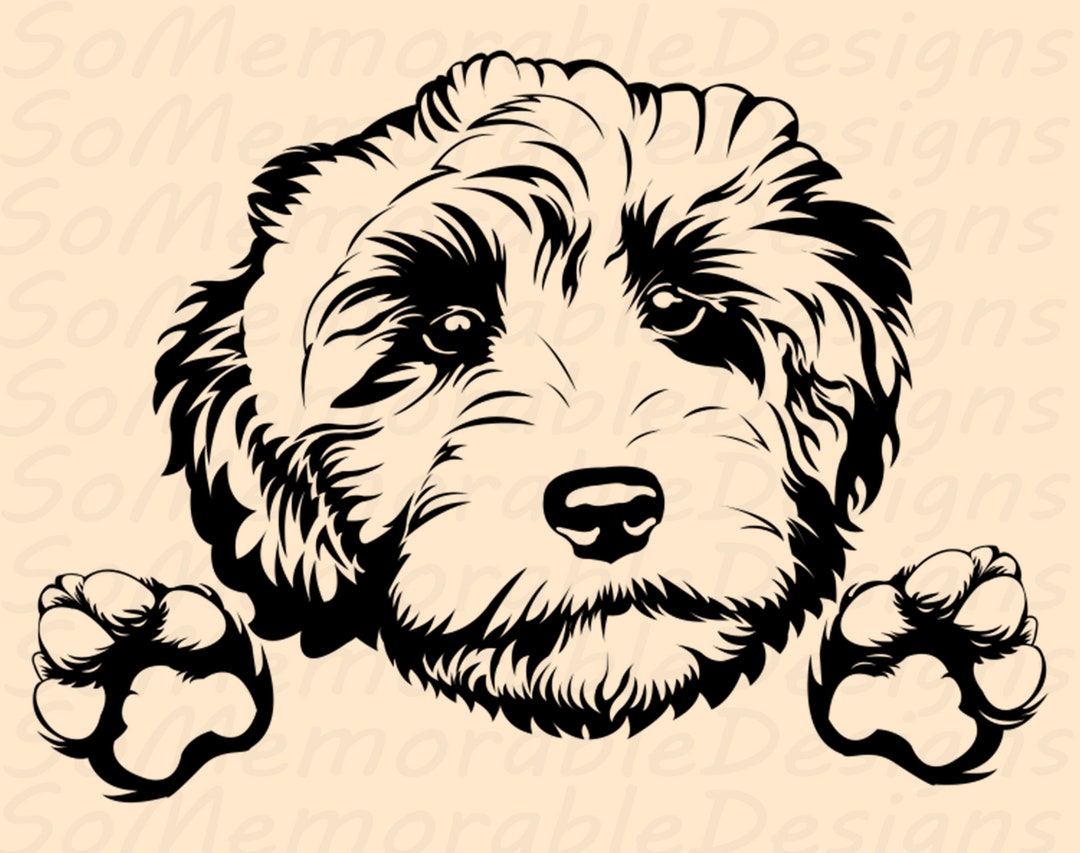 Labradoodle svg, Labradoodle svg file for cricut, Labradoodle diseño de ...