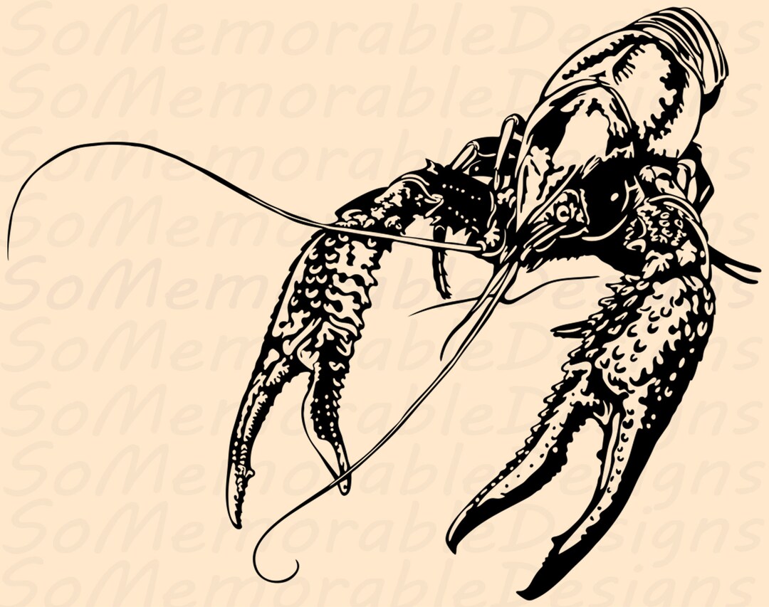 Crawfish Svg Files for Cricut, Crawfish Svg Designs, Crawfish Print for ...