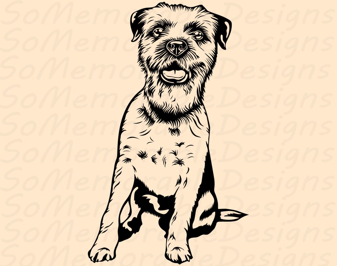 Border Terrier Svg, Border Terrier Svg File for Cricut, Border Terrier ...