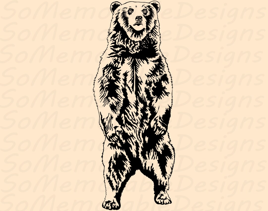Grizzly Bear Svg, Grizzly Bear Svg File for Cricut, Grizzly Bear Printable Tshirt Design - Etsy ...