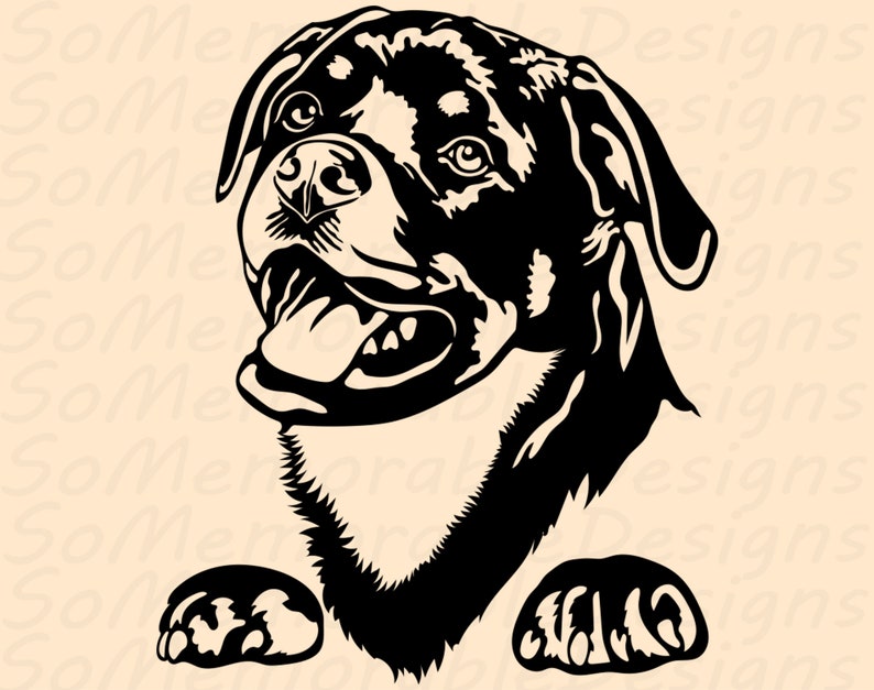 Rottweiler Svg, Rottweiler Svg File for Cricut, Rottweiler Printable ...