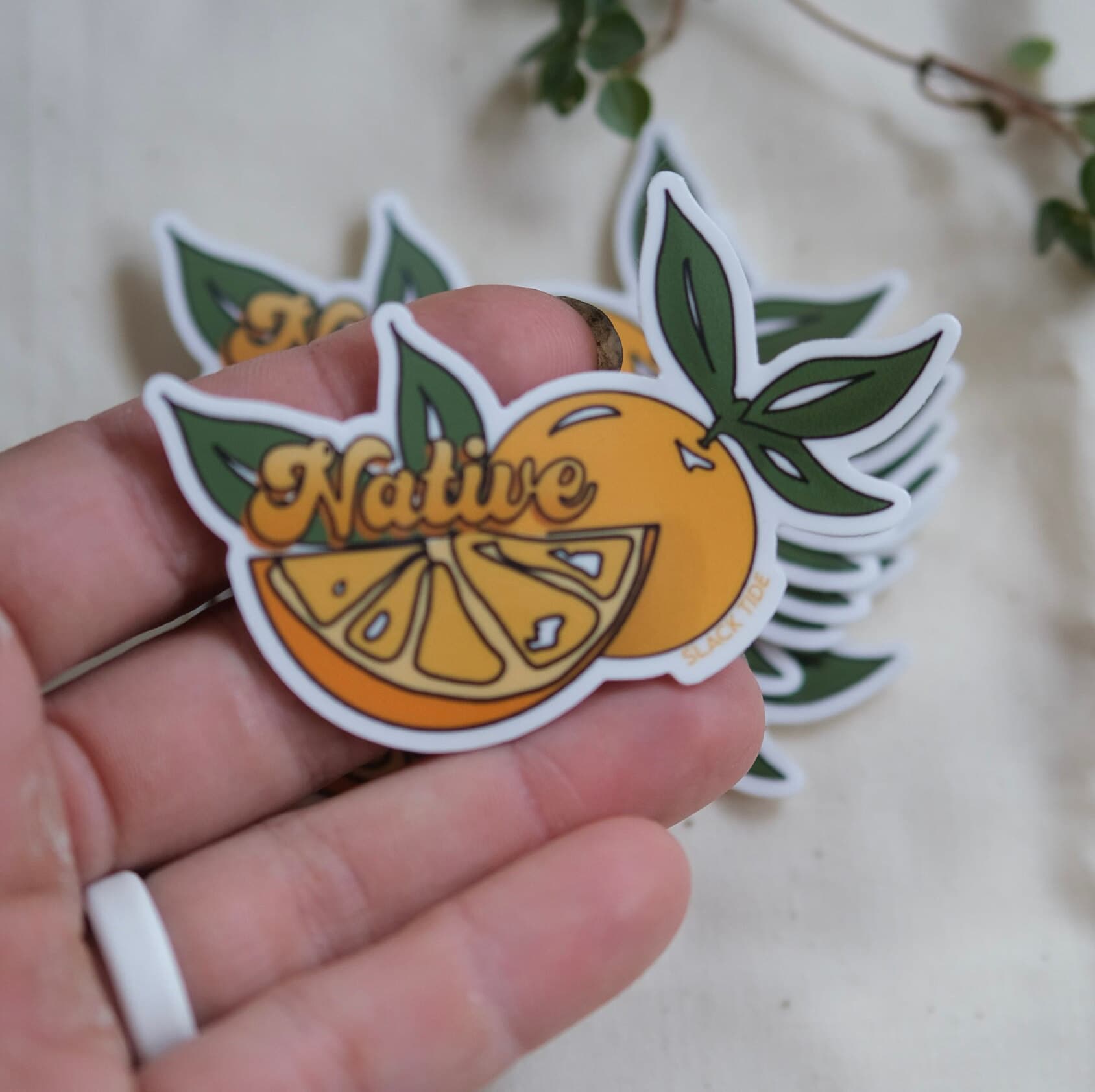 Florida Native Sticker, Orange Sticker, Florida Orange - Etsy