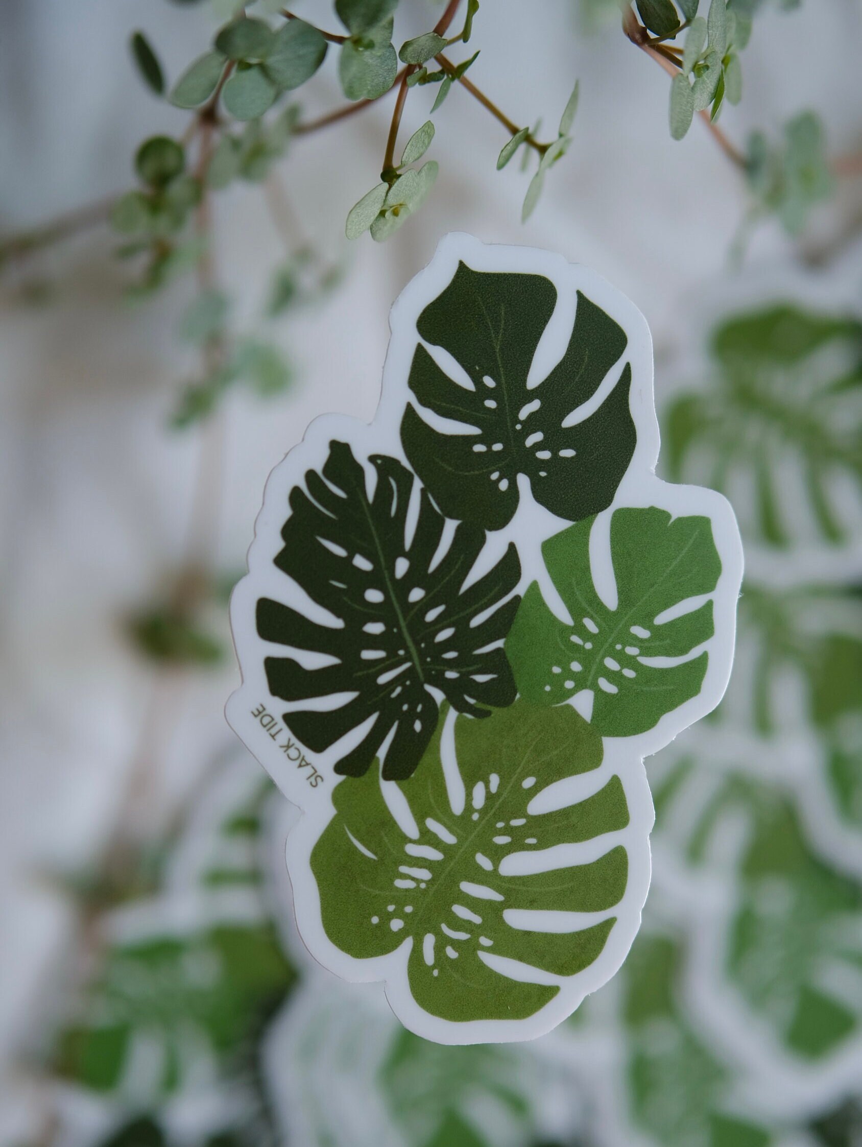 Monstera, Plant Sticker, Monstera Sticker - Etsy