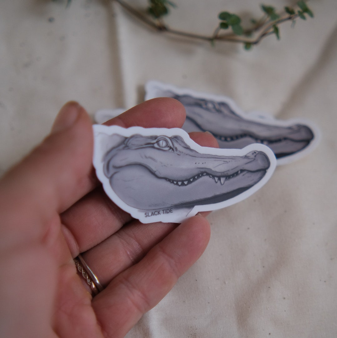 Alligator Sticker, Florida Gator Sticker - Etsy