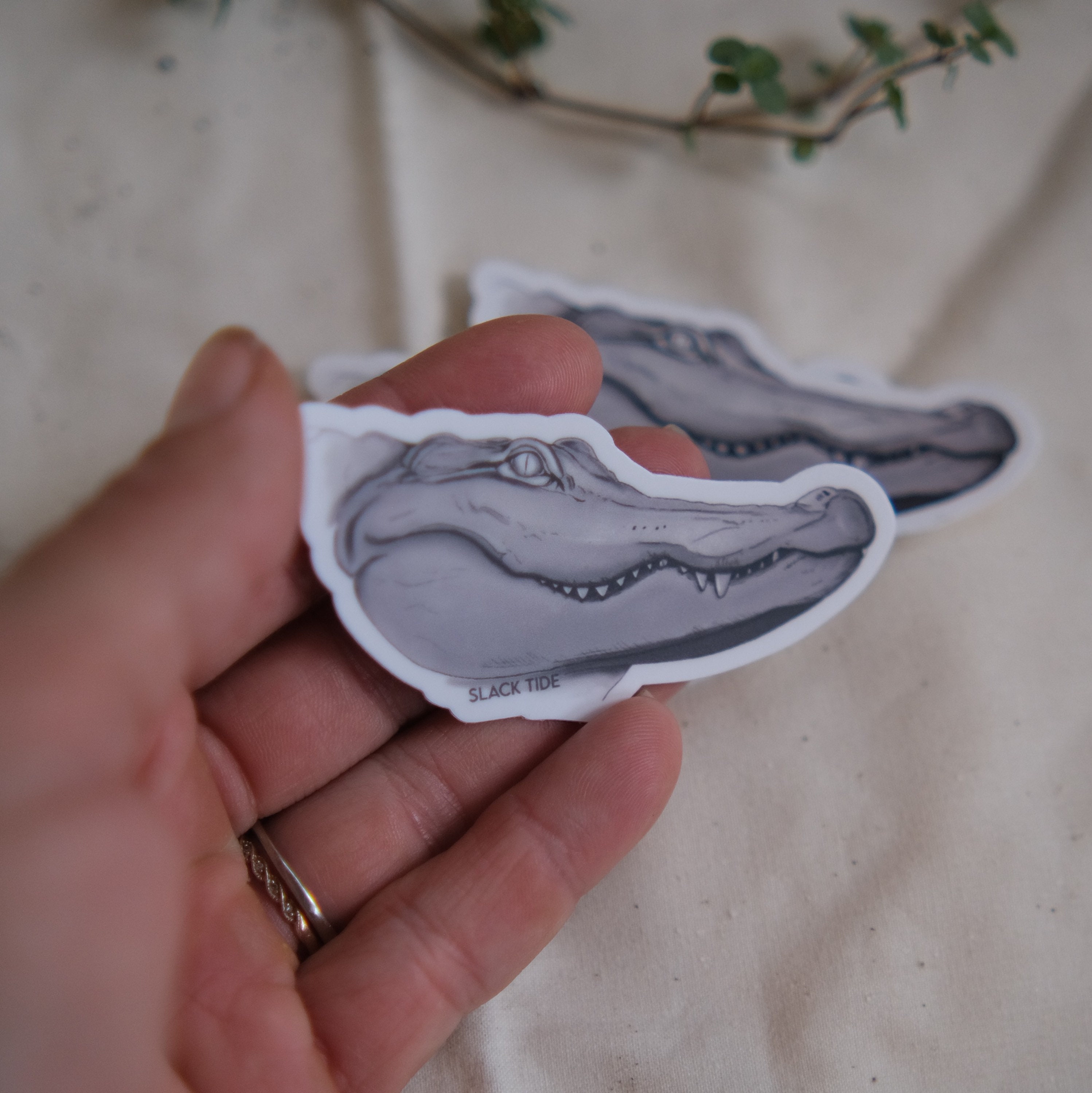 Alligator Sticker, Florida Gator Sticker - Etsy