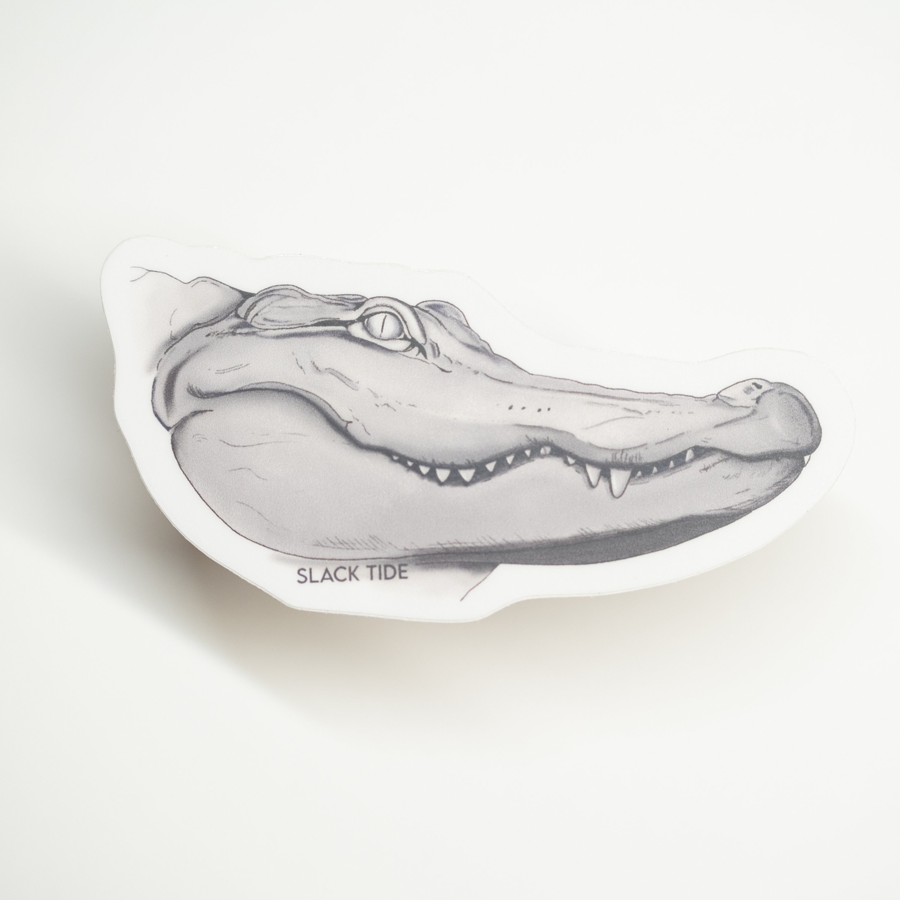 Alligator Sticker, Florida Gator Sticker - Etsy