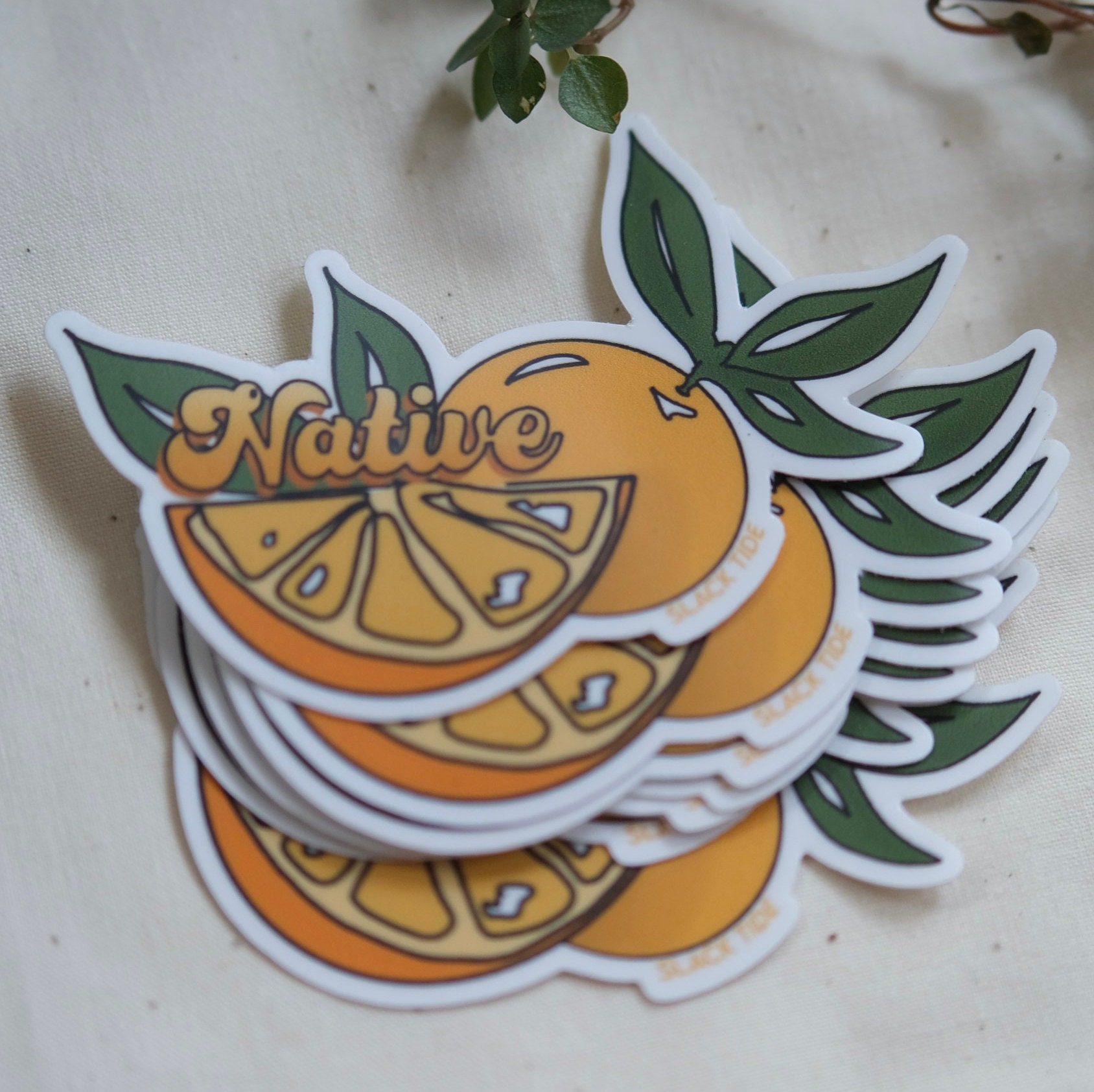Florida Native Sticker, Orange Sticker, Florida Orange - Etsy