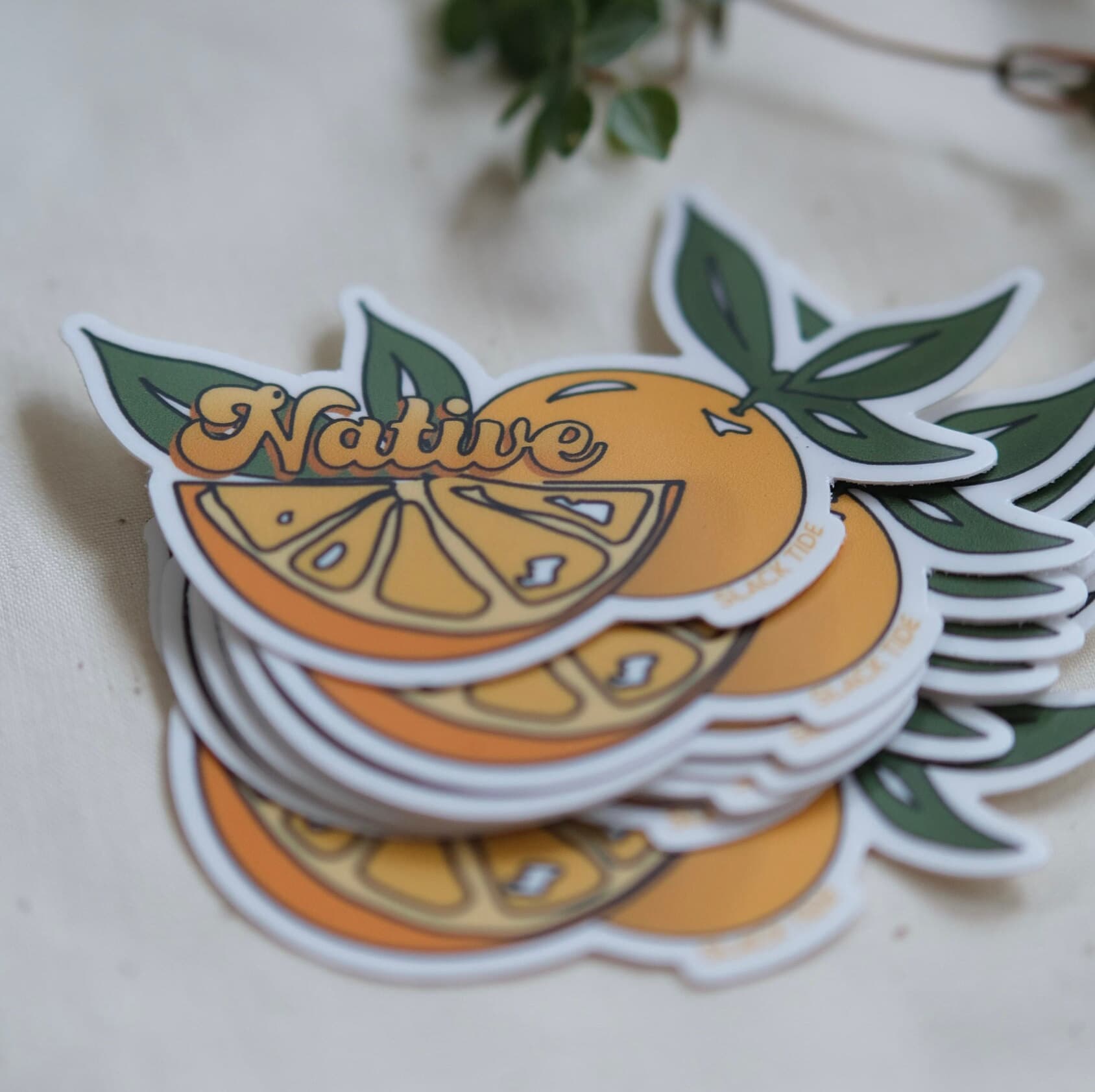 Florida Native Sticker, Orange Sticker, Florida Orange - Etsy