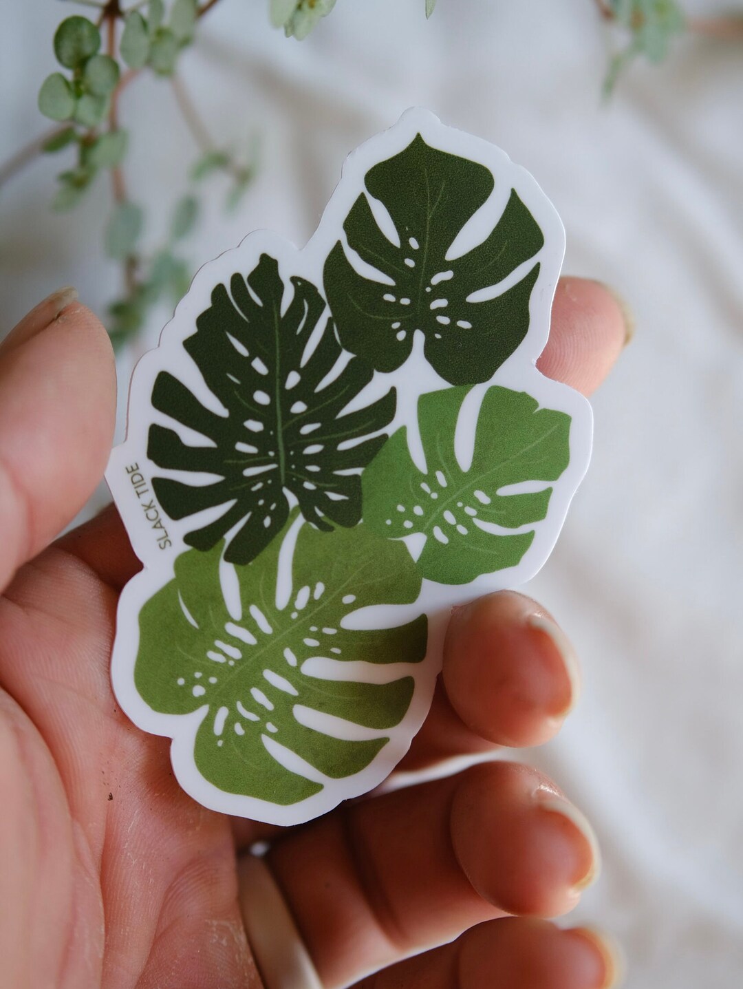Monstera, Plant Sticker, Monstera Sticker - Etsy