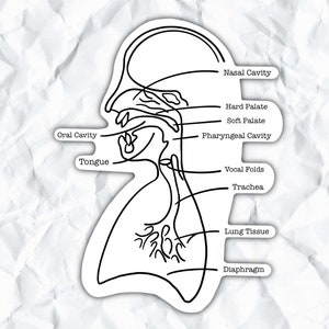 Original Larynx Concept Drawing From Blue Tree Publishing - Etsy