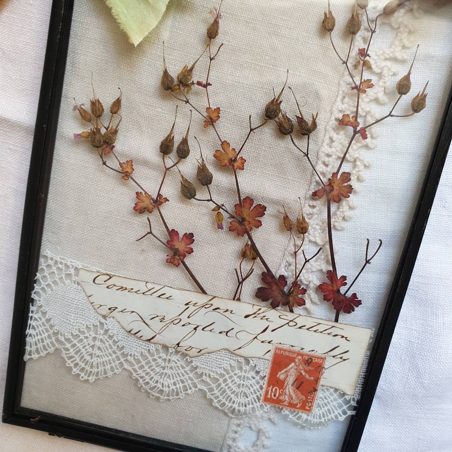 Pressed Flower Collage in Glass Frame With Antique Lace and Manuscript ...