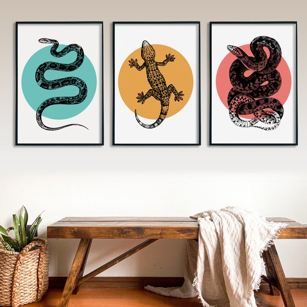 Scientific Illustration Prints - Etsy