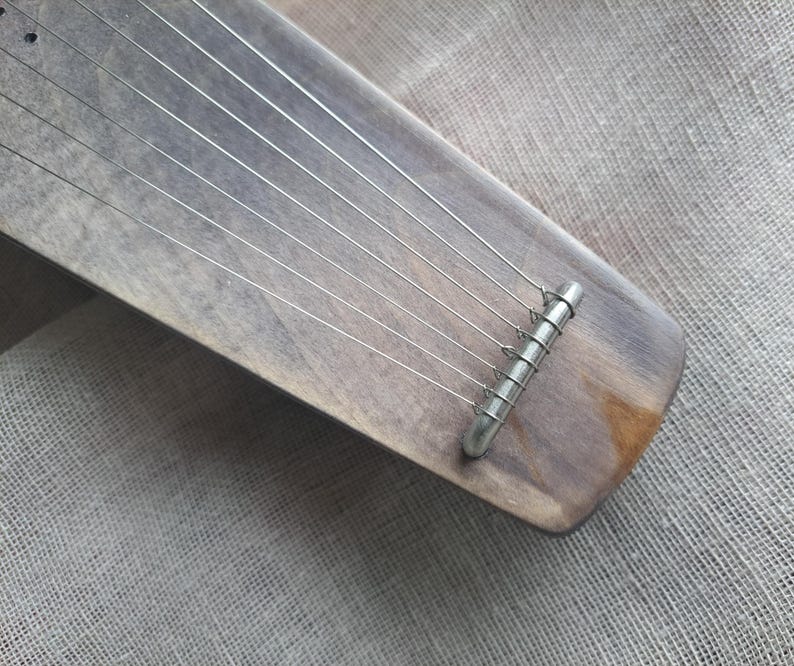 String Instrument With the Delightful Sound for Your Own Pleasure ...