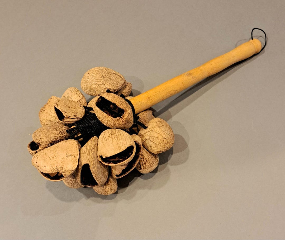 Shaker From Pangi Seeds. A Part of the Natural Lifestyle. - Etsy