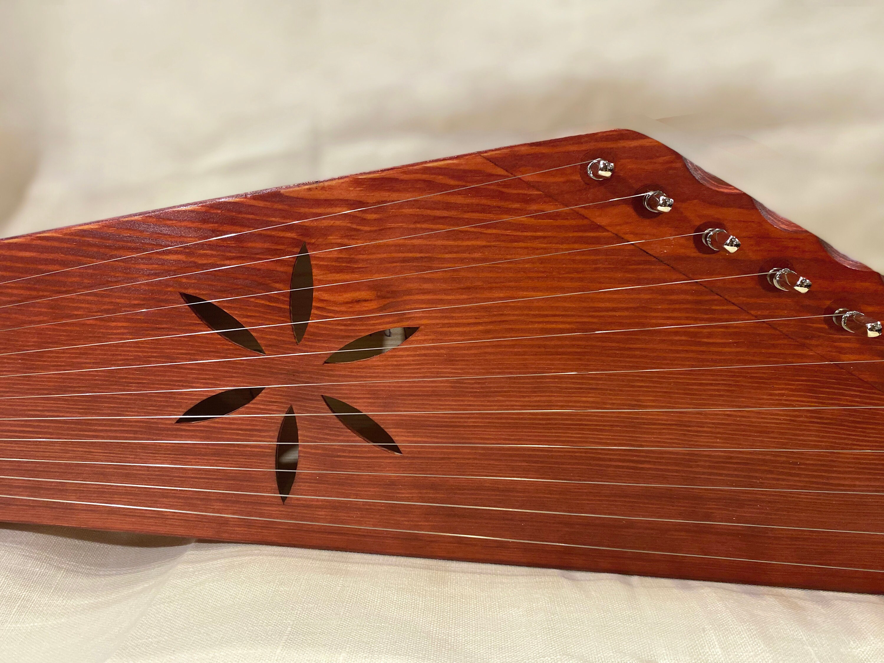 String Instrument With the Delightful Sound for Your Own Pleasure ...