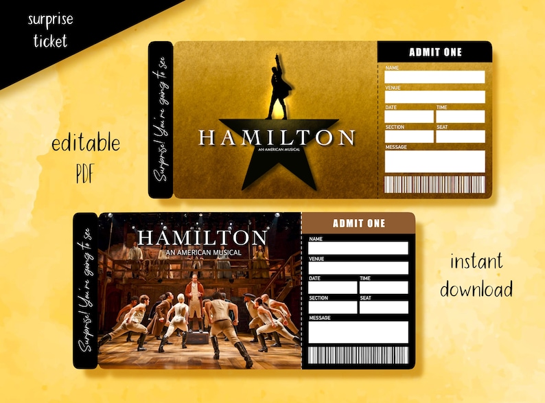 Hamilton Musical Ticket, Broadway Surprise Ticket, Hamilton Musical ...