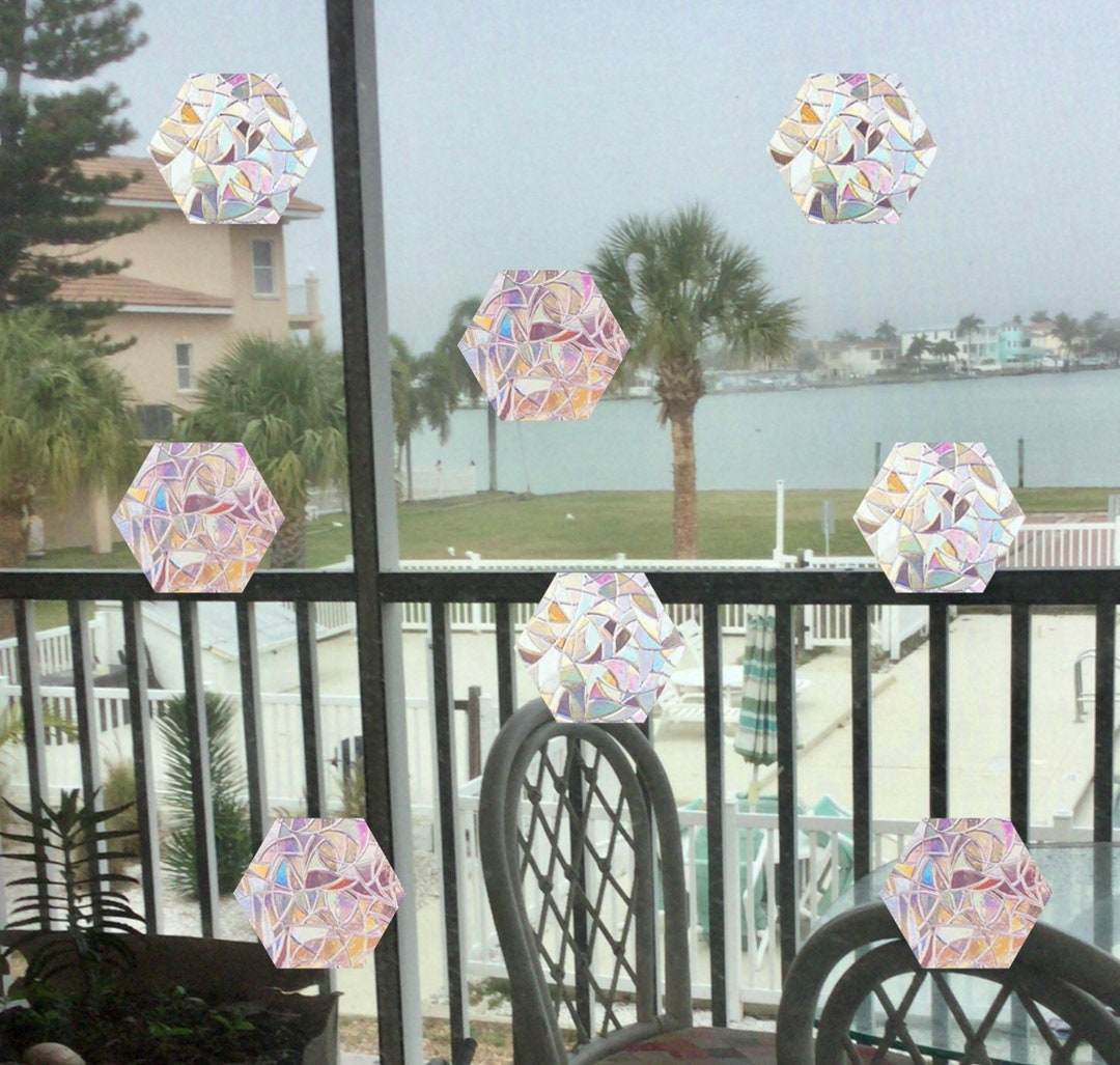 Prevent Bird Window Collisions With Bird Strike Anti Collision Decals ...