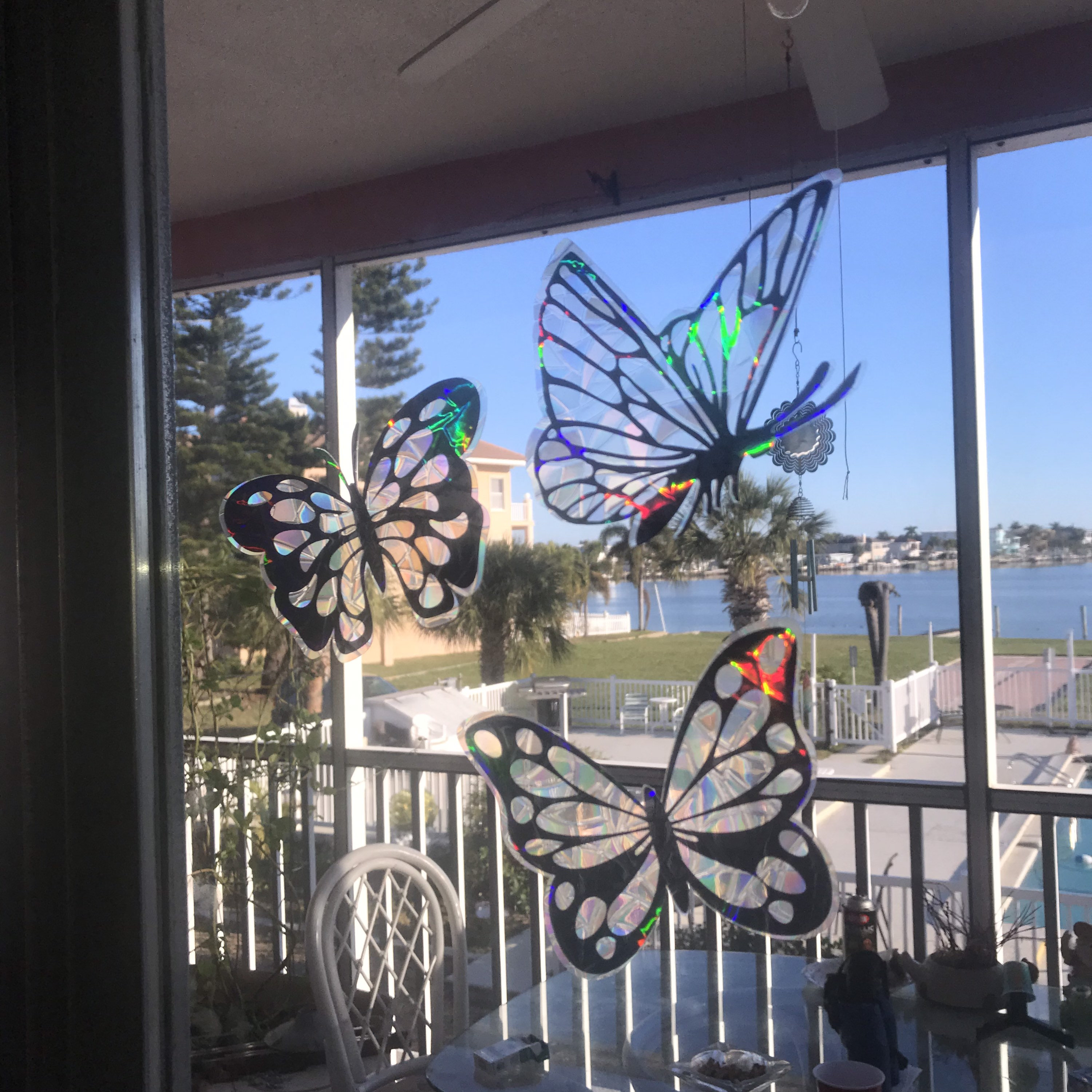 3 Butterfly Window Cling Suncatchers 5 x 4 Prism | Etsy