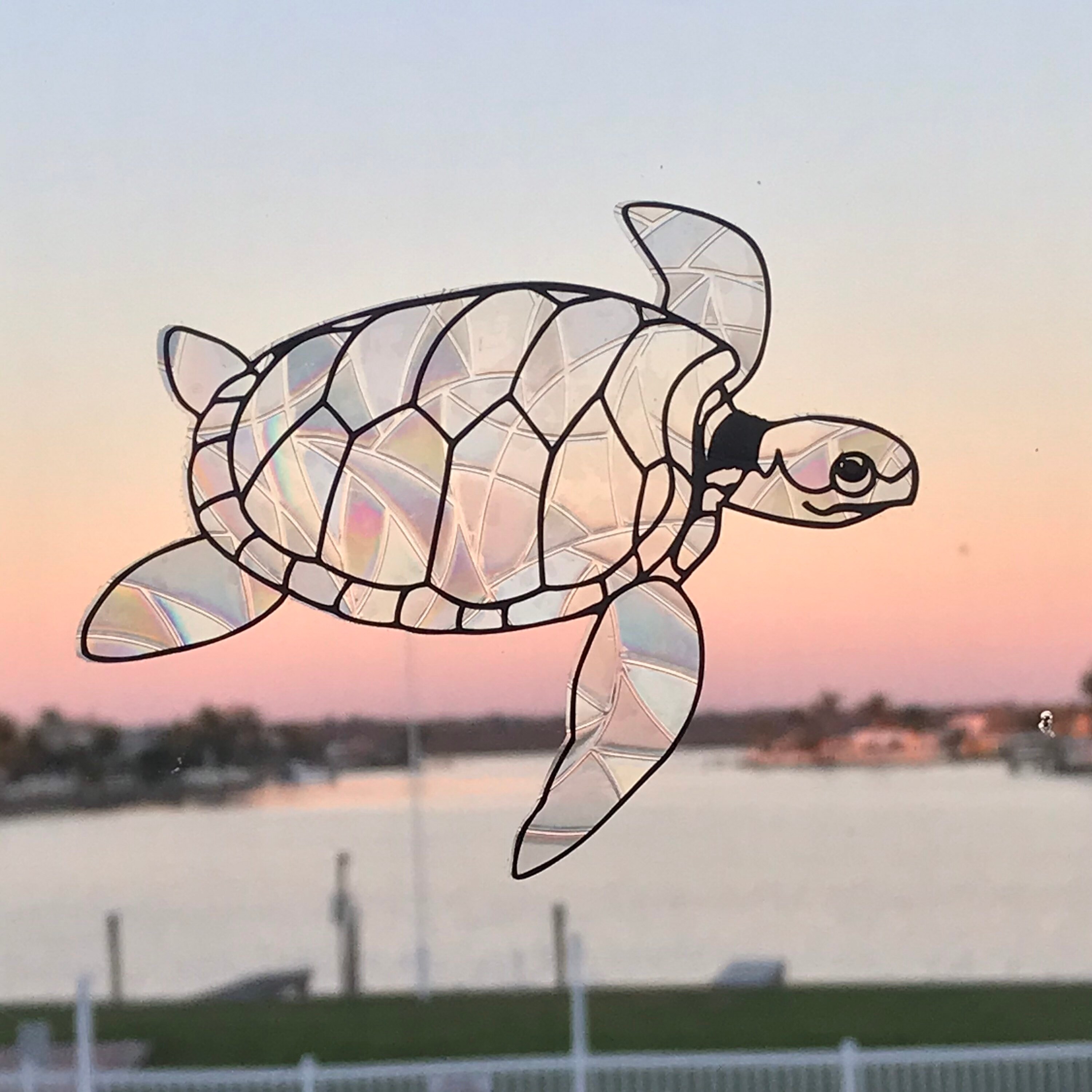 Sea Turtle Suncatcher Window Clings Prism Holographic Rainbow - Etsy