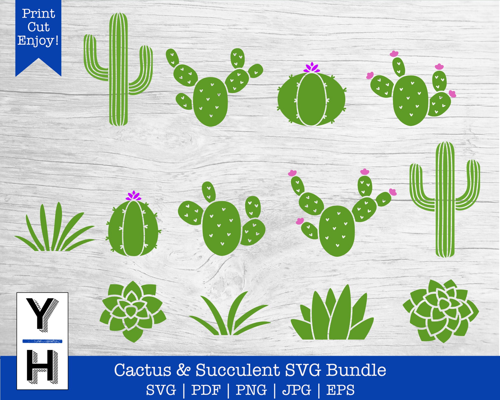 Cactus SVG Succulent SVG Bundle Prickly Pear Cactus PNG - Etsy