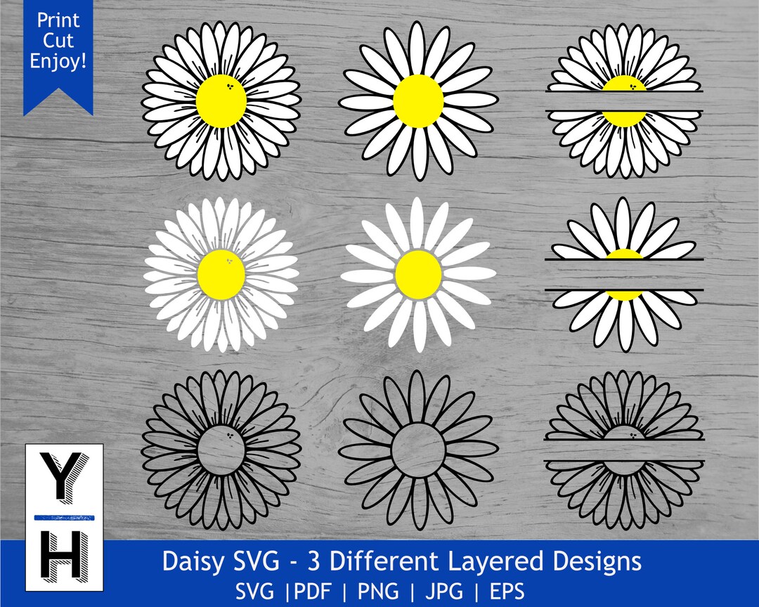 Daisy SVG Bundle Daisy Split Name Frame SVG Flower SVG Daises Svg Daisy ...