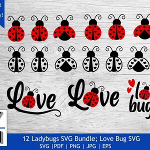 Ladybug SVG Bundle | Love Bug SVG | Ladybug PNG | Ladybug Clipart ...