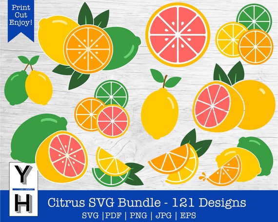 Citrus SVG Bundle Citrus Fruit SVG Sliced Citrus PNG - Etsy