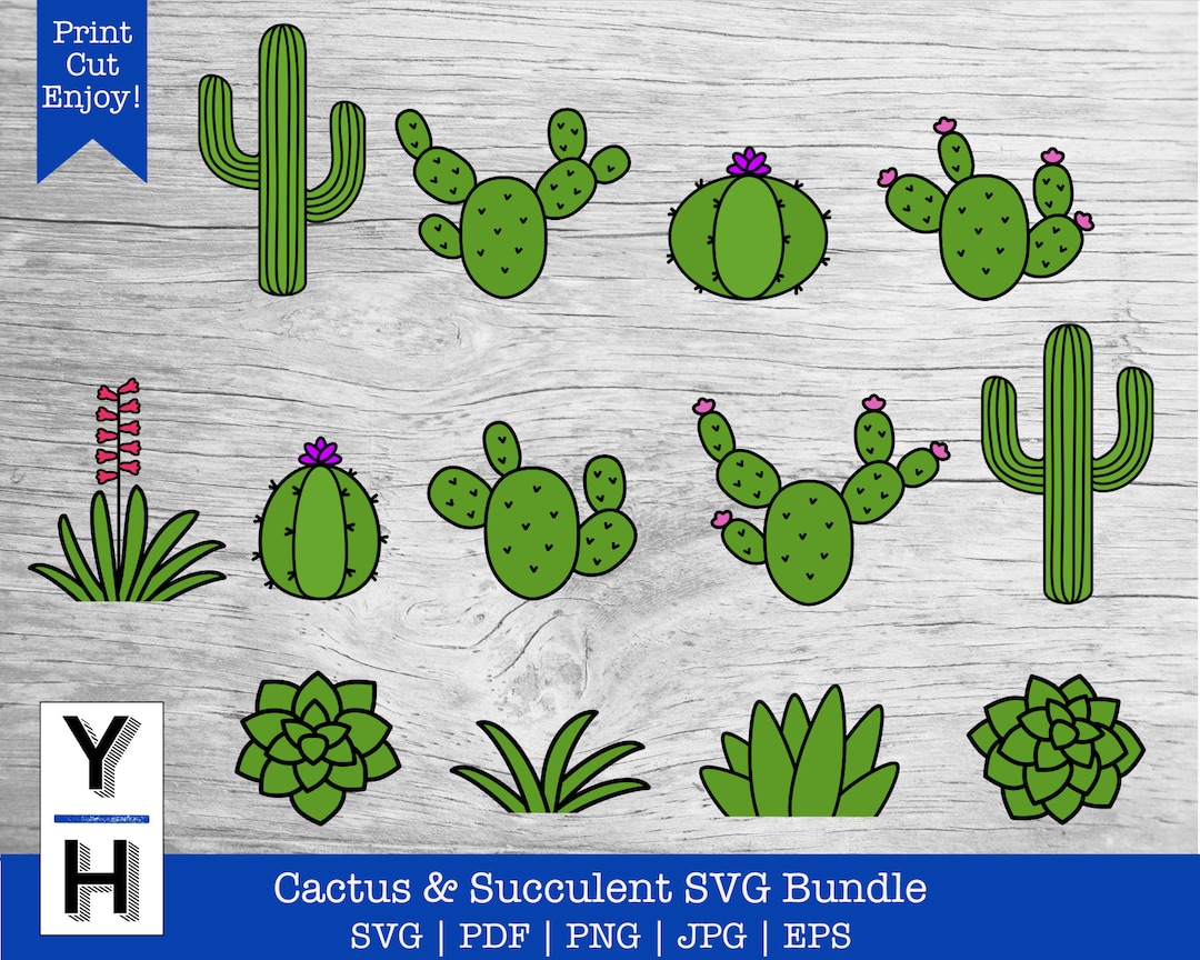 Cactus SVG Succulent SVG Bundle Prickly Pear Cactus PNG Saguaro Cactus ...