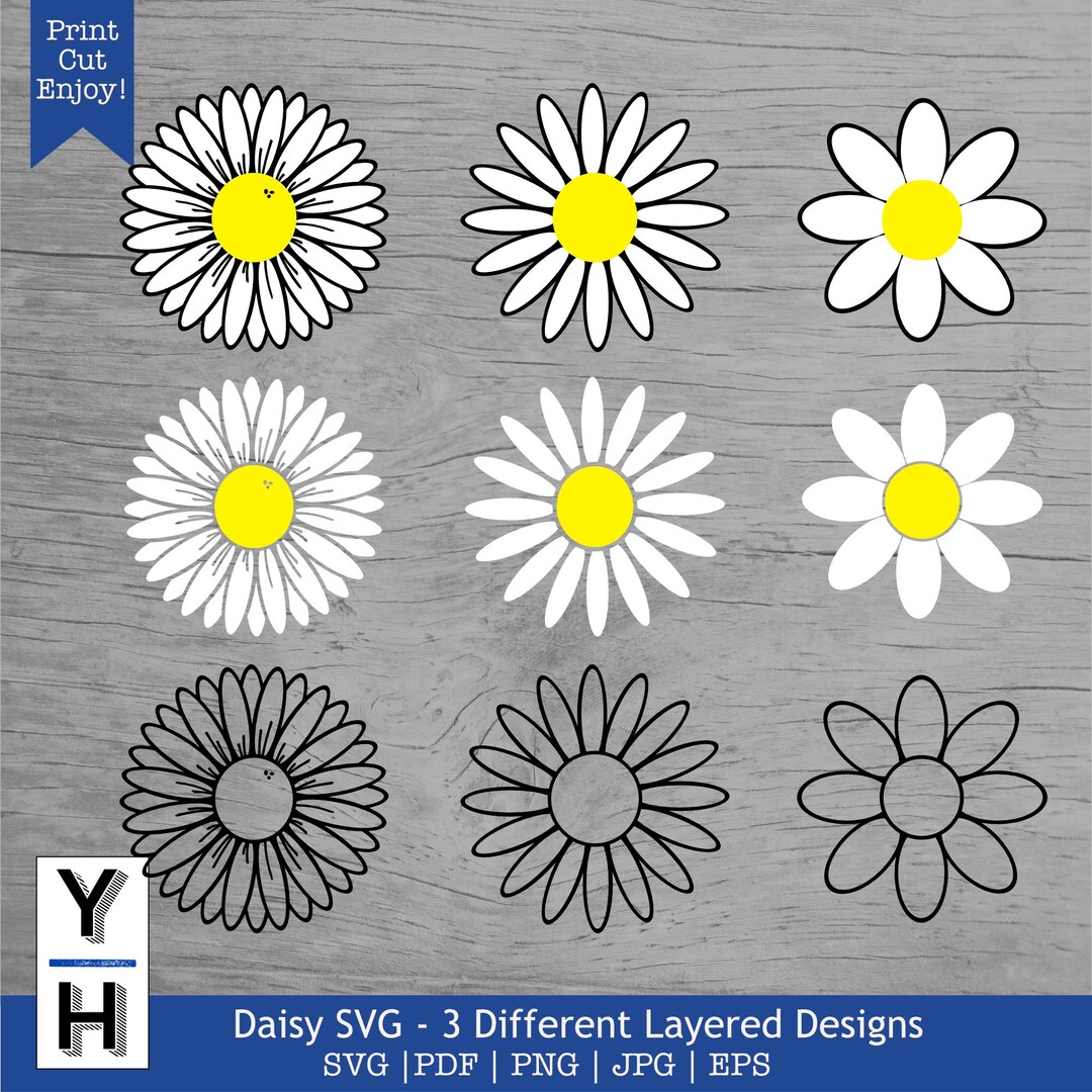 Daisy SVG Bundle Daisy Split Name Frame SVG Flower SVG Daises Svg Daisy ...