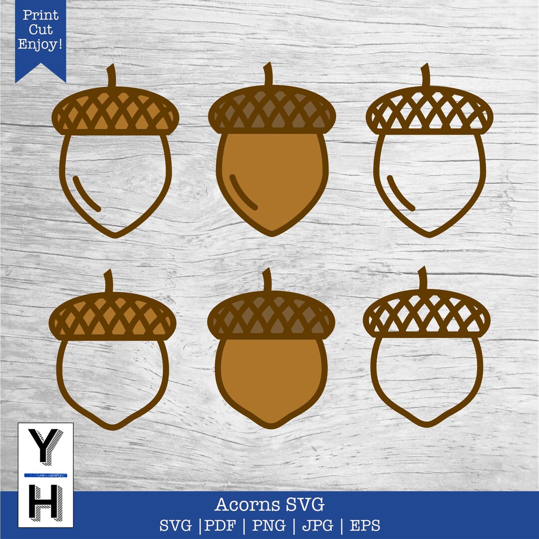 Acorn SVG Bundle | Acorns PNG | Autumn Clipart | Nuts About Fall - Etsy