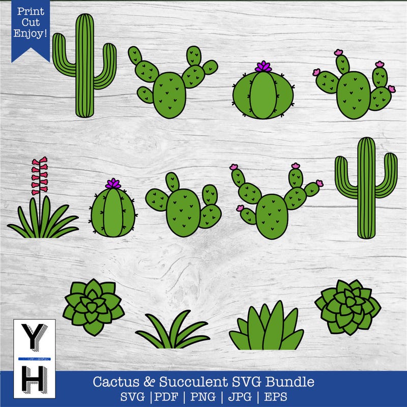 Saguaro Cactus - Etsy