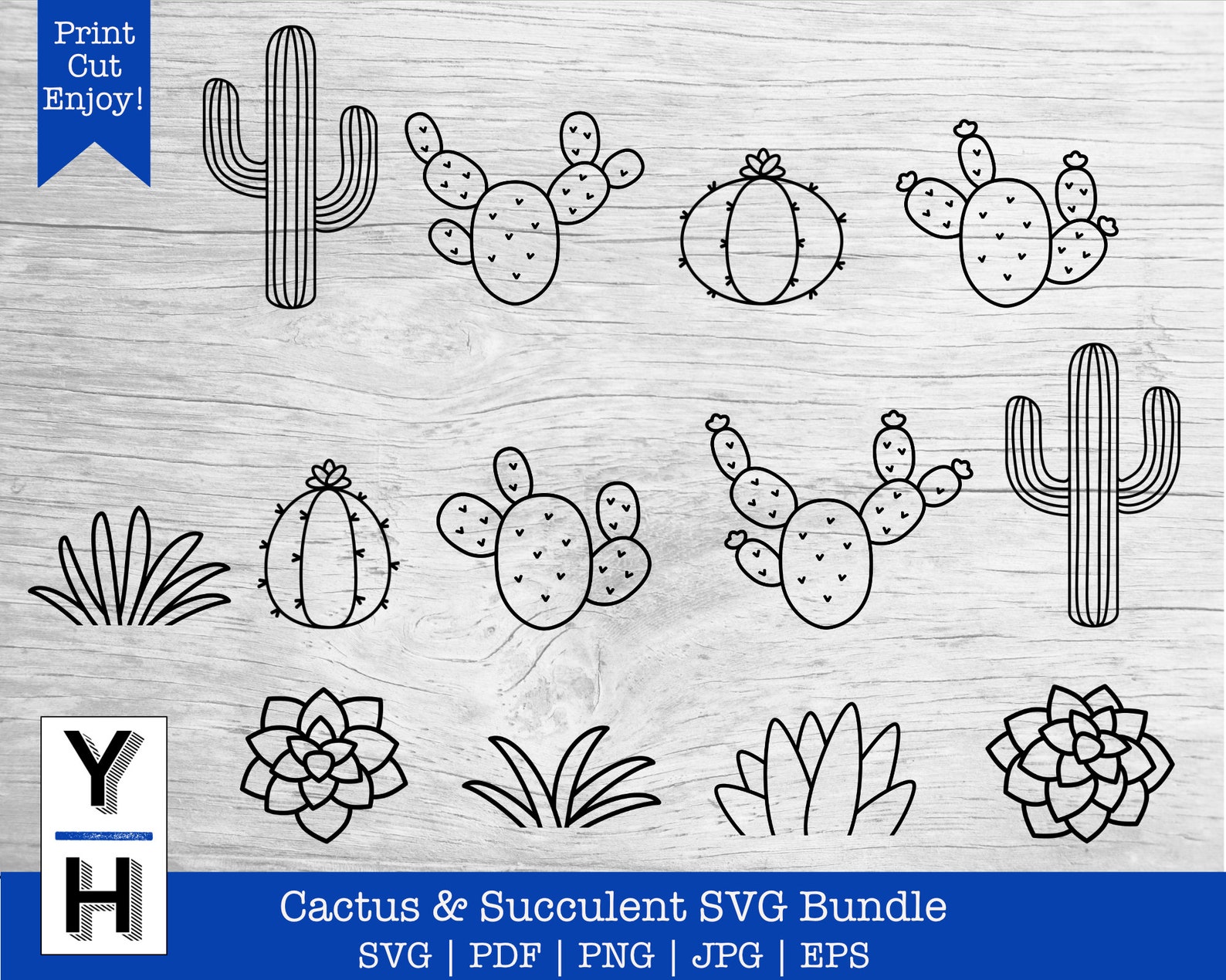 Cactus SVG Succulent SVG Bundle Prickly Pear Cactus PNG - Etsy