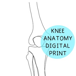 Knee, Human Anatomy Print, Abstract Line Art, Minimalist, Physiotherapy ...