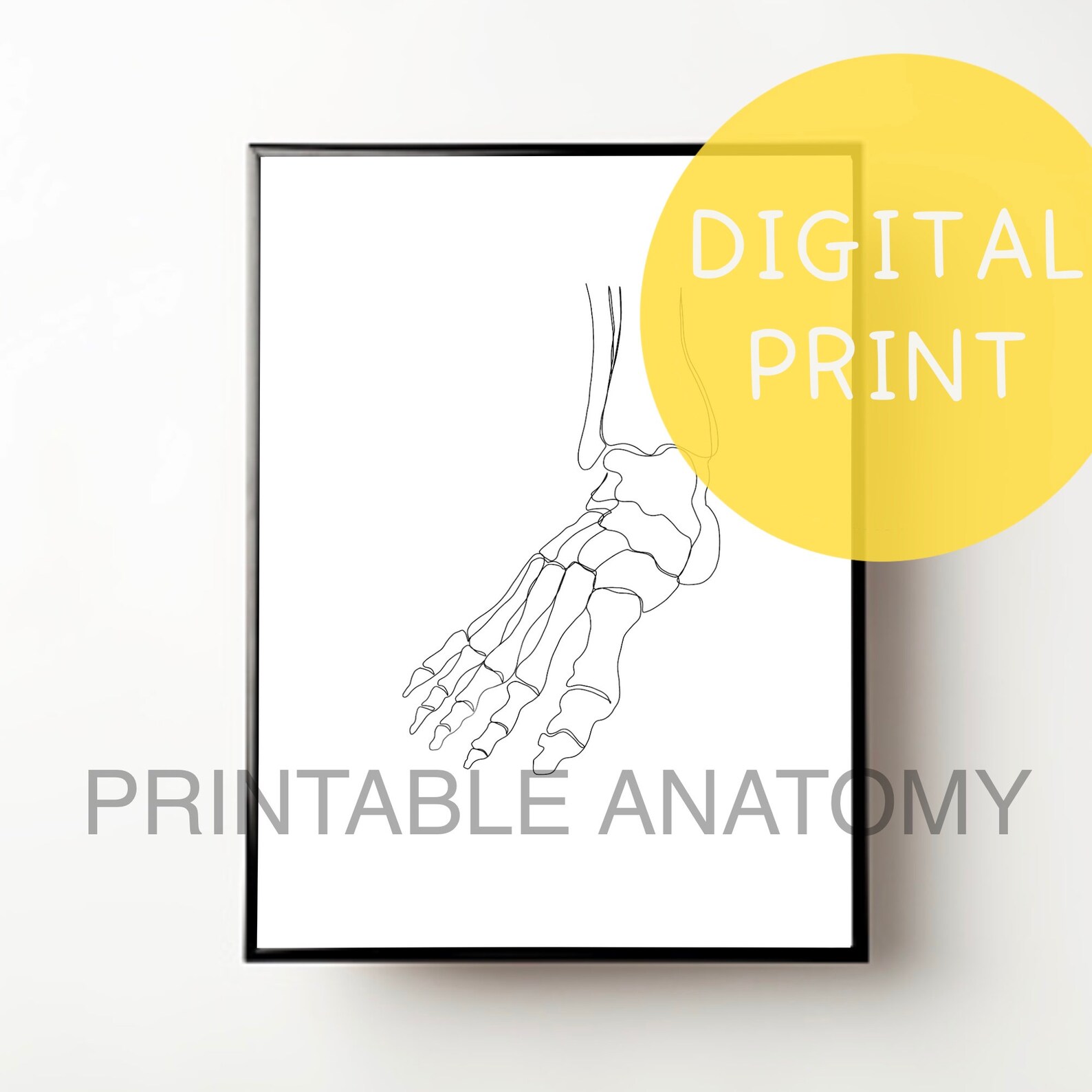 Foot, Human Anatomy Print, Bones of the Foot, Abstract Line Art ...