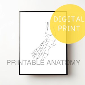 Foot, Human Anatomy Print, Bones of the Foot, Abstract Line Art ...