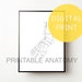 Foot, Human Anatomy Print, Bones of the Foot, Abstract Line Art ...